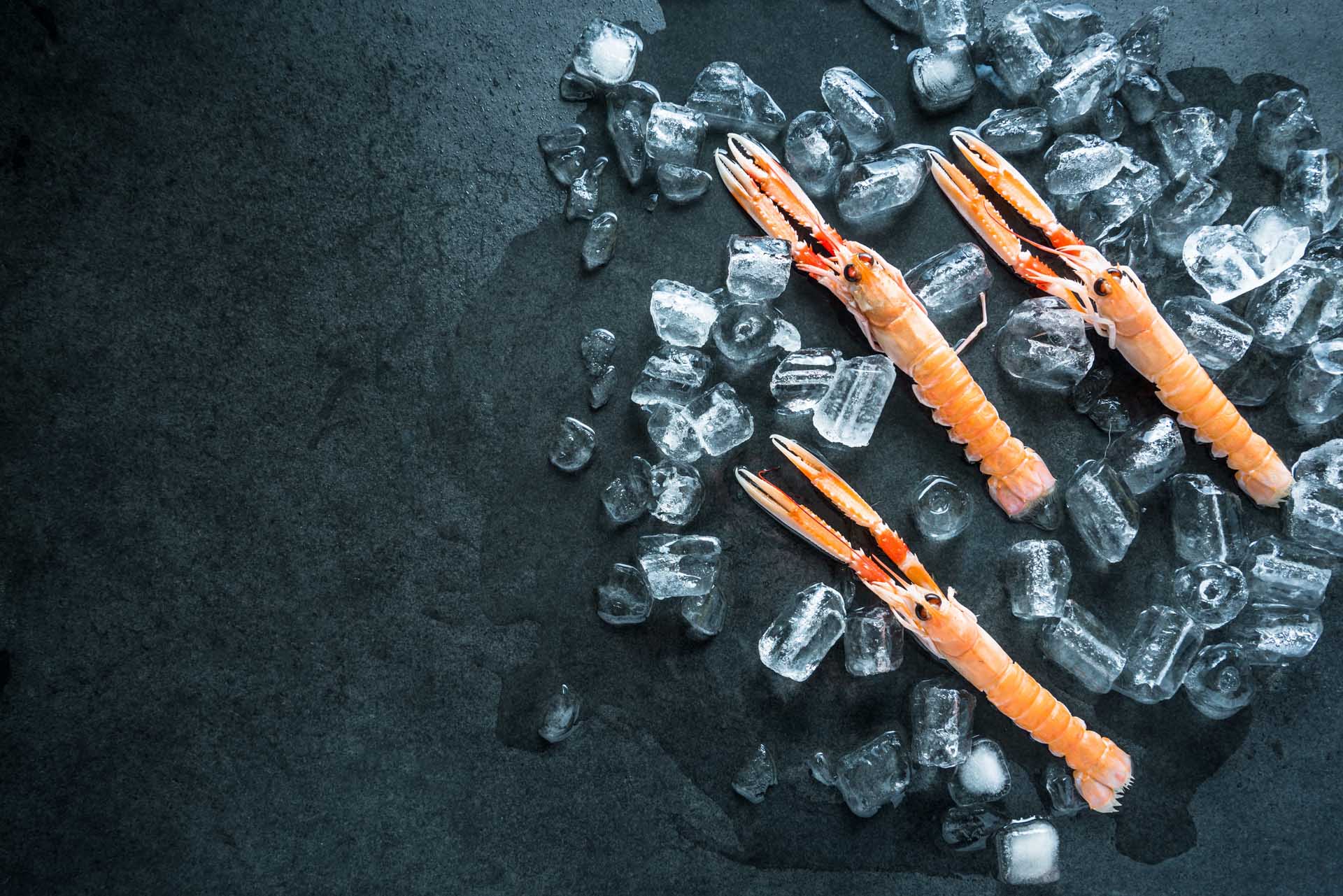 Full product range of fresh, smoked and frozen fish